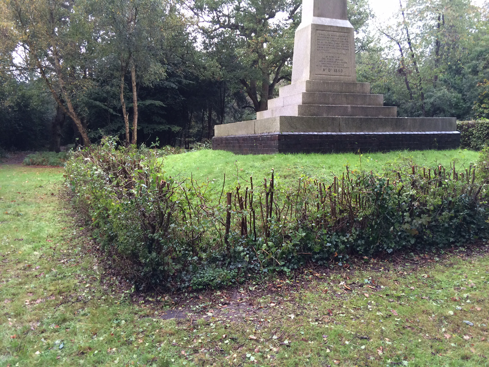Prince Imperial hedge restored – Chislehurst Commons