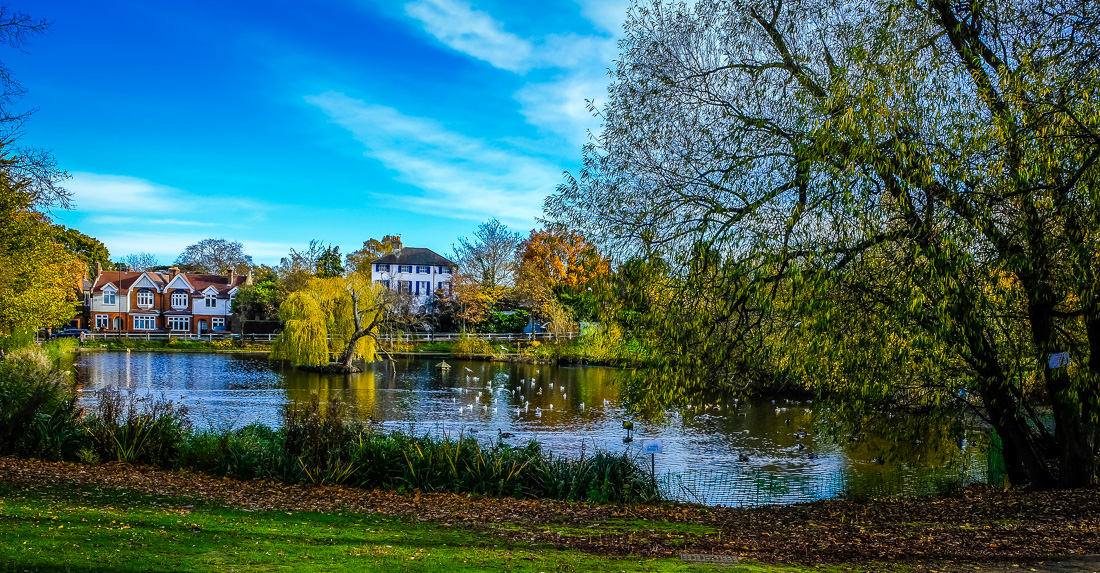 Chislehurst Commons – Chislehurst Commons